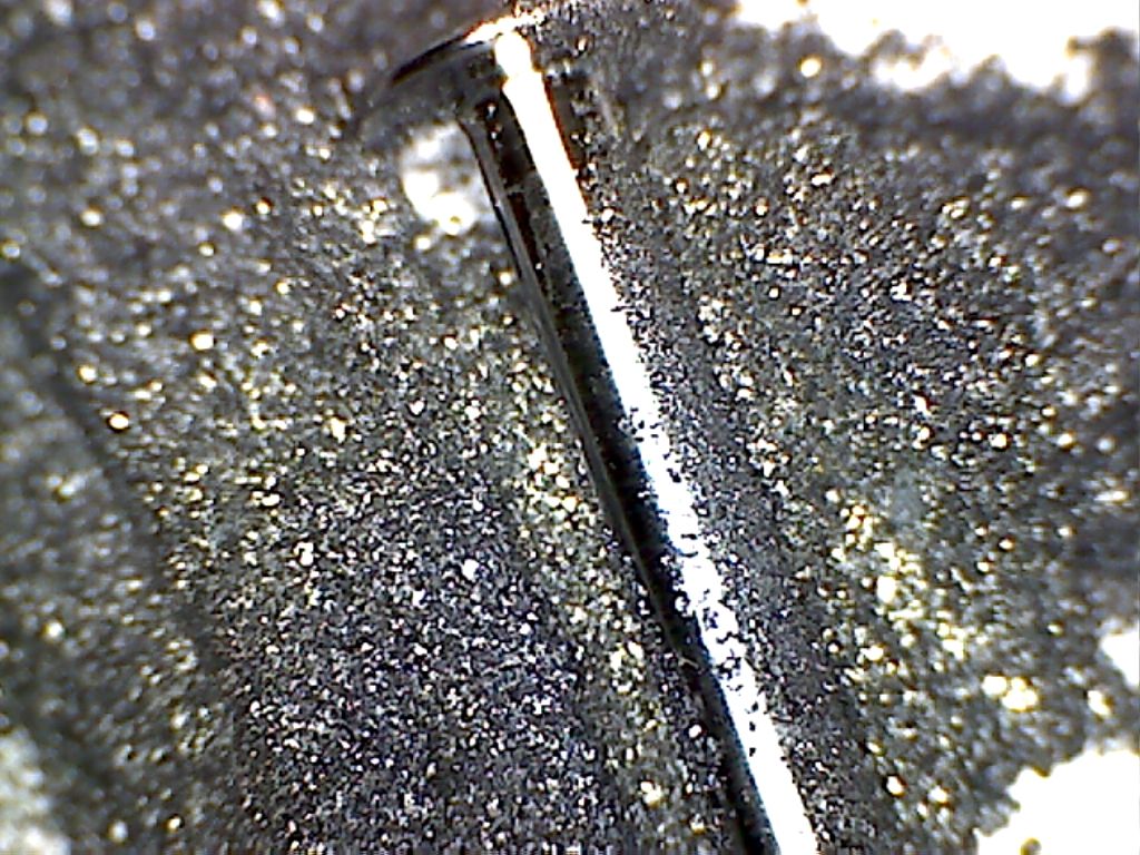 Are you doing your Pinewood Derby Axles Correctly? - Pinewood Derby ...